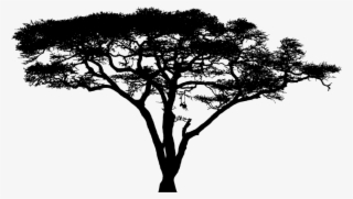 Halotel Tanzania Has Submitted Its Prospectus To The - Halotel Tanzania ...