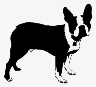 Boston Terrier Stencil - Free Transparent PNG Download - PNGkey