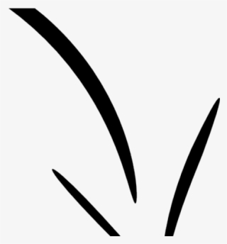Fancy Arrow PNG, Transparent Fancy Arrow PNG Image Free Download - PNGkey