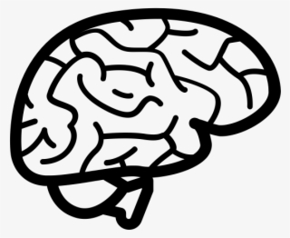 Brain Vector Outline - Logo For Wisdom - Free Transparent PNG Download ...