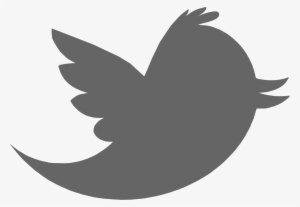 Twitter Logo PNG, Transparent Twitter Logo PNG Image Free Download - PNGkey
