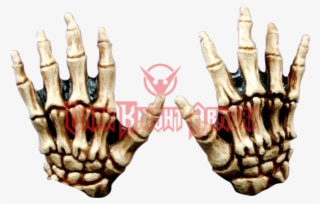 Skull And Hand - Skull - Free Transparent PNG Download - PNGkey