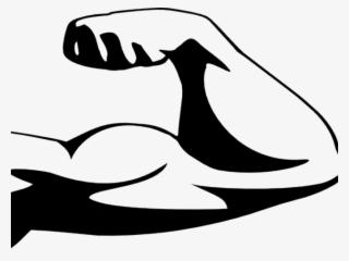 Muscle Arm PNG, Transparent Muscle Arm PNG Image Free Download - PNGkey