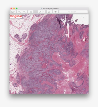 #01241 Original Art - Visual Arts - Free Transparent PNG Download - PNGkey