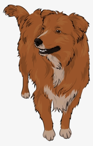 Draw A Cute Pet Cartoon Portrait From Your Photo - German Spitz - Free ...