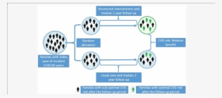 Schematic Diagram Of The Randomized Controlled Trial - Behavioural ...