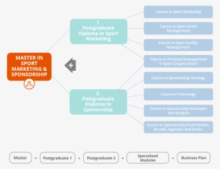 Sports Marketing Structure - Free Transparent PNG Download - PNGkey