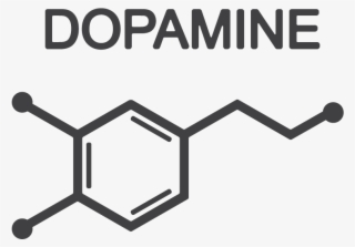 Dopamine Creativity - Dopamina Vector - Free Transparent PNG Download ...