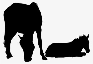 Mare And Foal Png - Free Transparent PNG Download - PNGkey