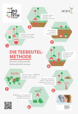 The Tea Bag Method At A Glance - Diagram - Free Transparent PNG ...