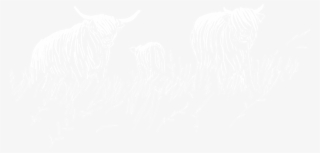 3 - Usgs Logo White - Free Transparent PNG Download - PNGkey