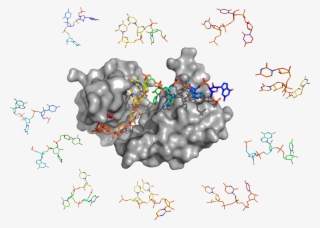 Current Methods Of Protein Rna Docking Are Severely - Free Transparent ...