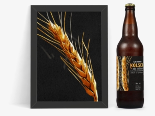 Kolsch - Free Transparent PNG Download - PNGkey