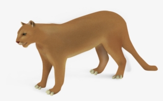 Puma - Puma Animado Gif Png - Free Transparent PNG Download - PNGkey