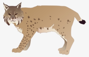 Lynx Png Cliparts - Canadian Lynx Transparent Background - Free ...
