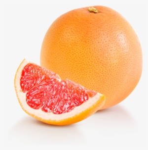 Pink Grapefruit - Free Transparent PNG Download - PNGkey
