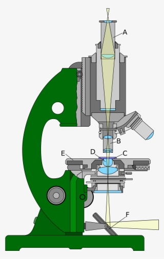 Science Clipart Microscope - Light Microscope Clipart - Free ...