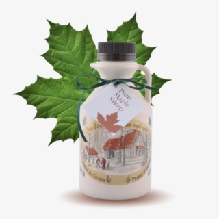 Pancake Syrup Png - Roland Grade A Pure Maple Syrup 1 Gal (case Of 4 ...