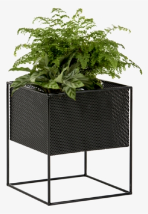 Planter PNG, Transparent Planter PNG Image Free Download - PNGkey