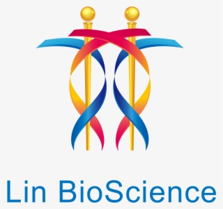 Lin Logo - Lin Bioscience Logo - Free Transparent PNG Download - PNGkey