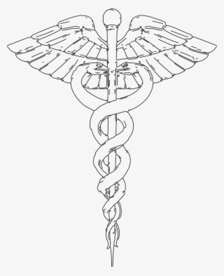 Caduceus Line Art - Sketch - Free Transparent PNG Download - PNGkey