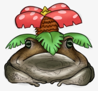 Green Toad Sm3dw - Green Toad Mario Png - Free Transparent PNG Download ...
