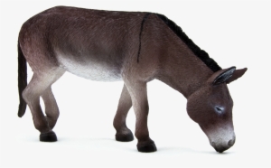 Mojo Donkey Toys - Free Transparent PNG Download - PNGkey