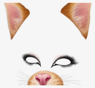 Snapchat Filters PNG, Transparent Snapchat Filters PNG Image Free ...