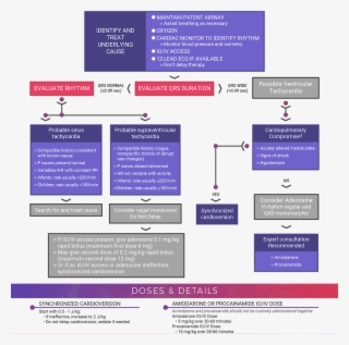 Pediatric Tachycardia With A Pulse And Poor Perfusion - Procainamide Vs ...