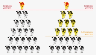 Image Source - Clinical Vs Subclinical Mastitis - Free Transparent PNG ...