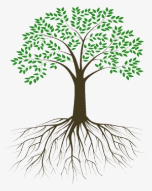 About Us - Tree With Roots Black And White - Free Transparent PNG ...