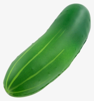 Cucumber Png Free Download - Pipino Clip Art - Free Transparent PNG ...