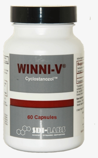 Winni-v - Winni V - Free Transparent PNG Download - PNGkey