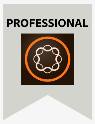 Adobe Professional - Circle - Free Transparent PNG Download - PNGkey