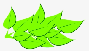 Spring Leaf Clipart - Leaves Clipart - Free Transparent PNG Download ...