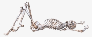 Download - Skeleton Lying Down Png - Free Transparent PNG Download - PNGkey