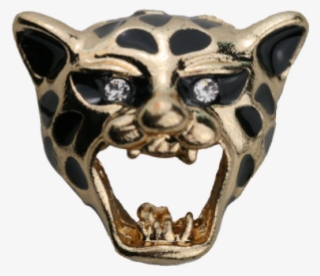 Tiger Paw PNG, Transparent Tiger Paw PNG Image Free Download - PNGkey