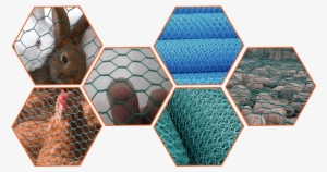 Chicken Wire - Chicken Wire Mesh Png - Free Transparent PNG Download ...