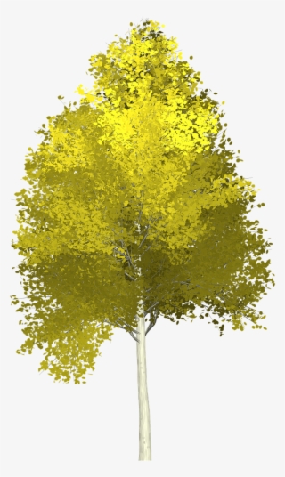 Forest Freetoedit - Tree Line - Free Transparent PNG Download - PNGkey