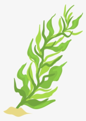Vector Transparent Download Cartoon - Algae Sea Cartoon Png - Free ...