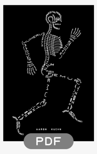 Esqueleto - Skeleton Aaron Kuehn - Free Transparent PNG Download - PNGkey