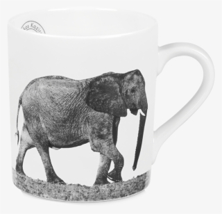 Trilogy - Coffee Cup - Free Transparent PNG Download - PNGkey