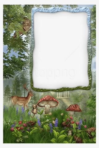 Free Png Best Stock Photos Transparent Forest Frame - Forest Frames ...