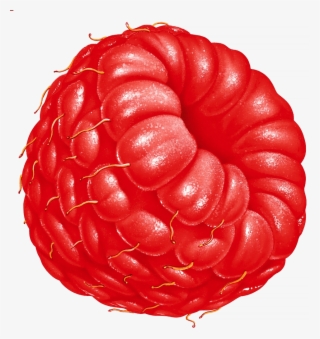 Fruit Rush Blue Raspberry - Fruit Rush Fruit Drink Blue Raspberry, 1.0 ...