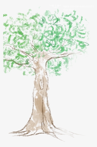 Chalk Drawn Tree - Illustration - Free Transparent PNG Download - PNGkey