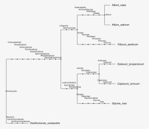 31 Mar - Diagram - Free Transparent PNG Download - PNGkey