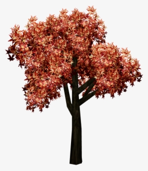 Japanese Maple PNG, Transparent Japanese Maple PNG Image Free Download ...
