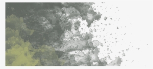 Quick Query - Monochrome - Free Transparent PNG Download - PNGkey