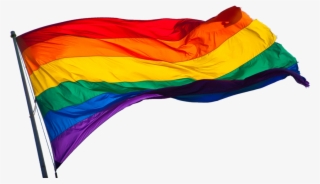 Lgbt Flags Transparent - Free Transparent PNG Download - PNGkey