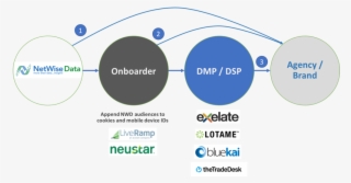 Distribution Options Timmed - Circle - Free Transparent PNG Download ...